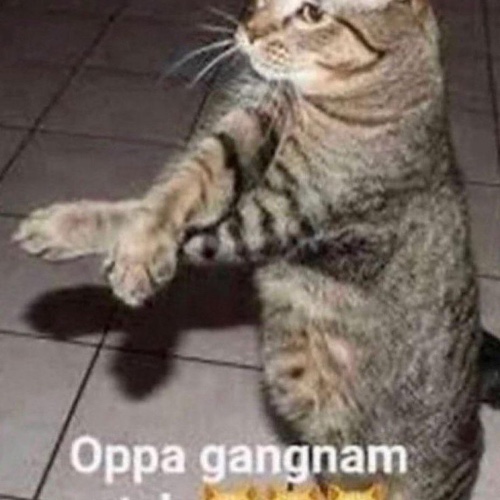 Raldis crackhouse Mod menu