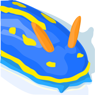 Vectoid TD 3D v1.4 日本語版