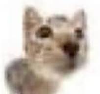 largest AMEN BREAK SAMPLES pack (look inside)