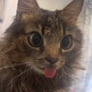 GDR - MEGAMOD V1 + IcedCave Texture Pack