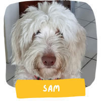 Alex's jumpstart russian lowercase letters band (band version)(my most ...