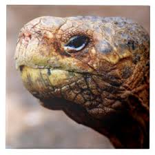 Basic Pen Text Engine v1.2