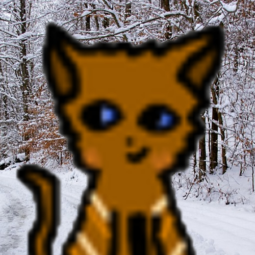 100+ Scratch Cat Sprites!!!