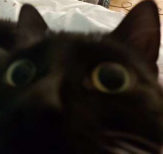 v0.4.3 [ARCHIVE] Minecraft 3D