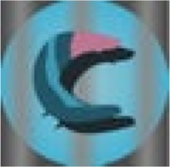 Cat Adventure 3! Chapter 1 “Cavort Port” #game #all #animation