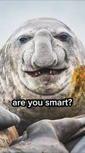 [new letter!] the full RALR cast!