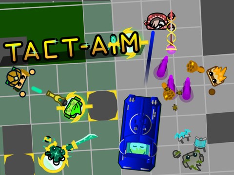 TACT-AIM MAZE