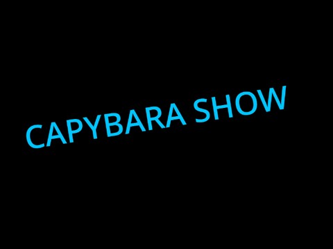 Capybara Show