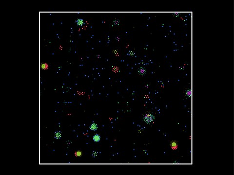 Particle Life Optimized