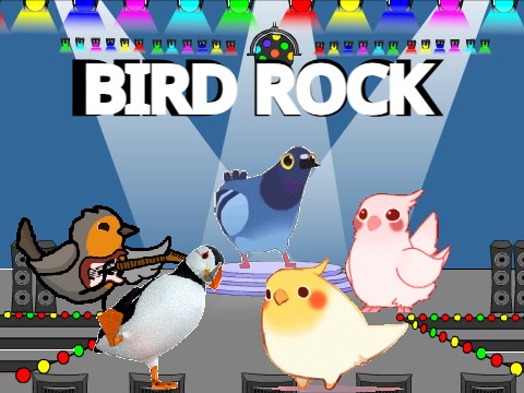 Bird Rock!