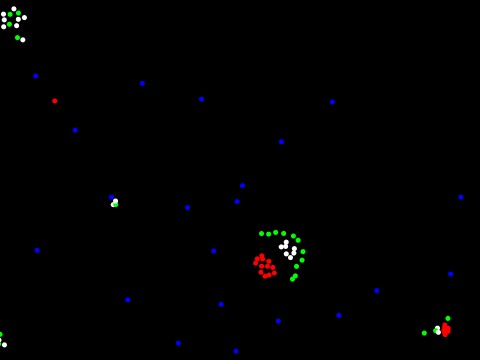 Particle life simulation