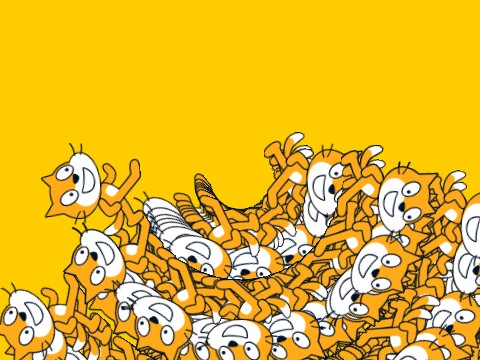 The Scratch Show Intro