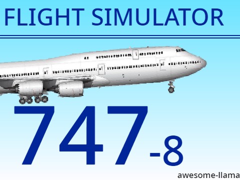 flight simulator