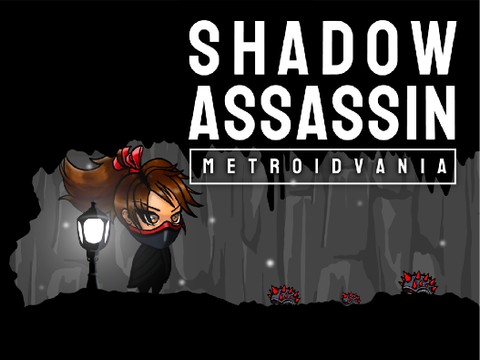 Shadow Assassin