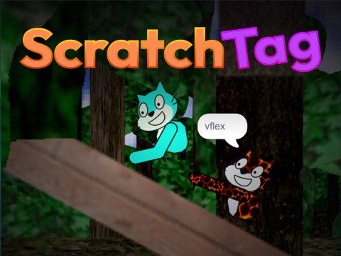 Scratch Tag
