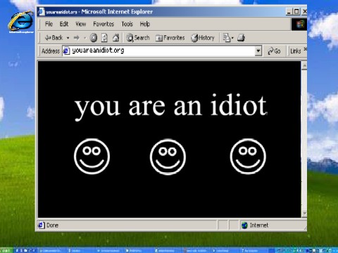 you are an idiot but safe