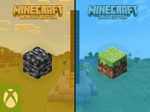 Java vs Bedrock