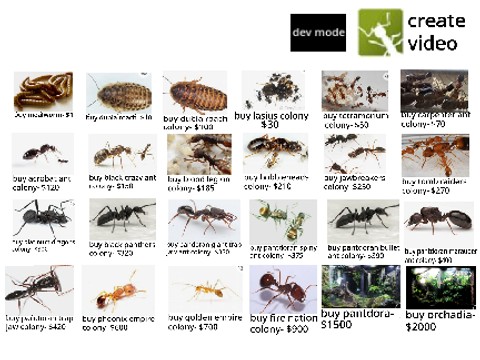 antscanada simulator