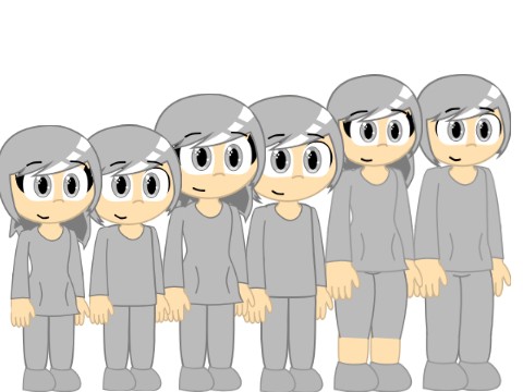 Human bases Updates V2