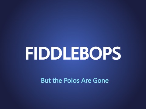 Fiddlebops Simulator