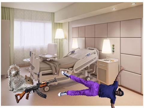 Calvrett gets shot by a squirrel