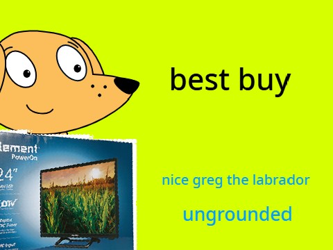 Greg the labrador behaves at best buy/ungrounded