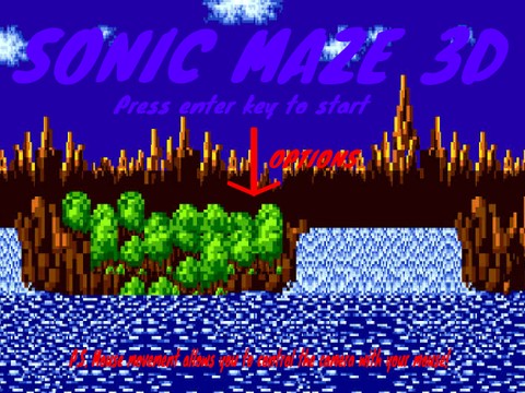 Sonic Maze 3D!