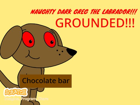 Dark Greg the Labrador eats a chocolate bar inside Biedronka without ...