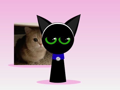 Sin Black x Meow Cash