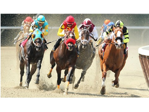 Help End Horse Racing