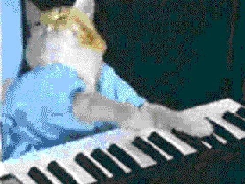 keyboard cat
