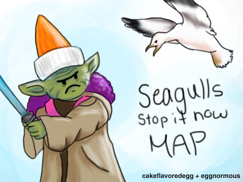 COMPLETED Seagulls MAP