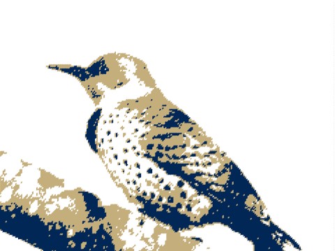 Custom Color Palette NPR