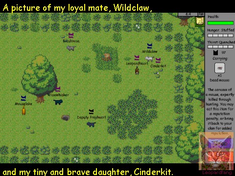 Warrior Cats The Game Preview