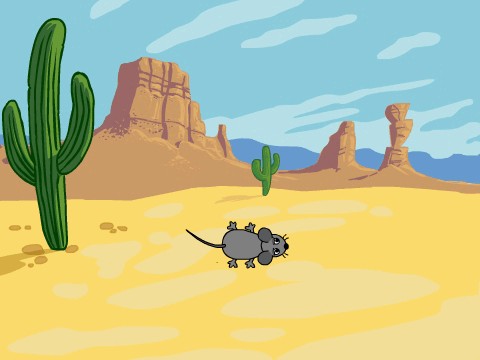 gliding mouse in the desert