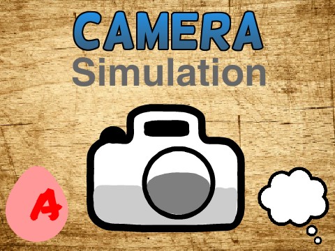 Camera Simulation