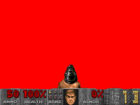 Doom simulator
