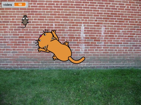 Rata i gat formatge 00 vides i nivells