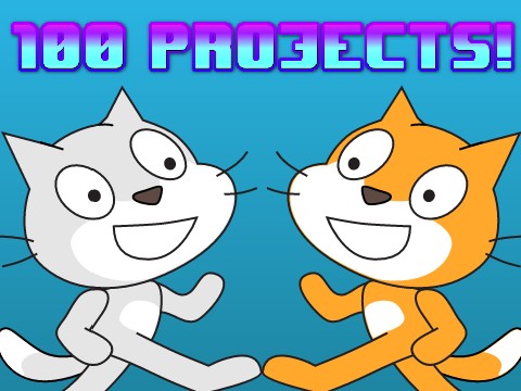 100 Projects in a Nutshell