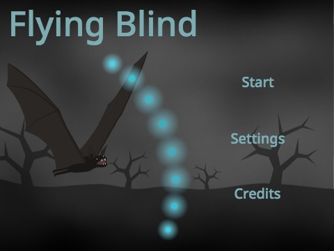 Flying Blind
