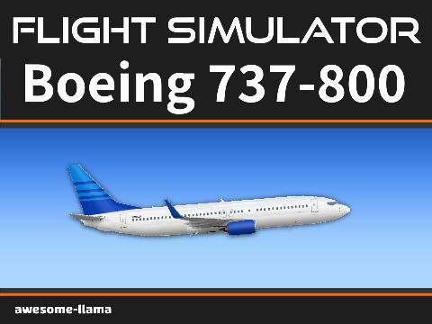 Flight Simulator / Boeing 737-800 / 2D