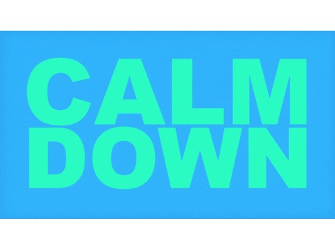 You Need To Calm Down