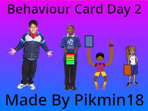Behaviour Card Day 2