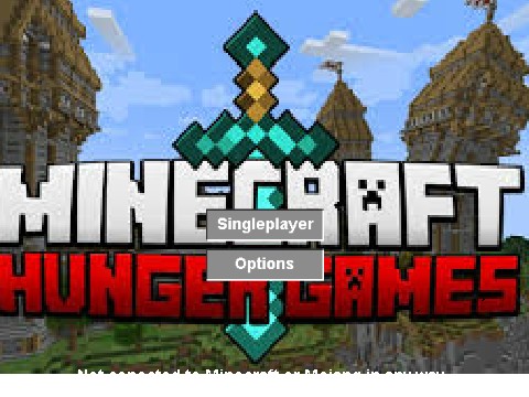 3D MINECRAFT sg server 2