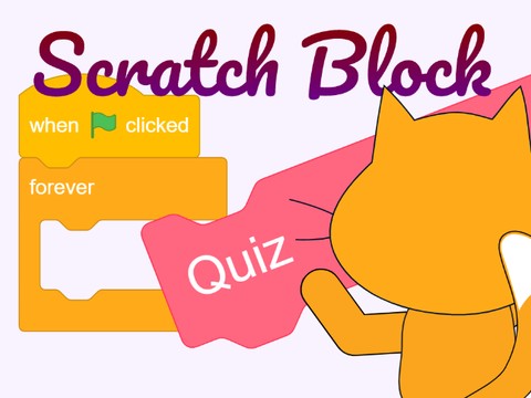 Scratch Block Quiz
