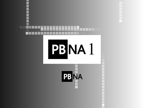 PBNA ID Generic [2002-2009]