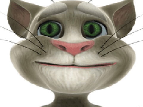 Talking Tom Cat remix