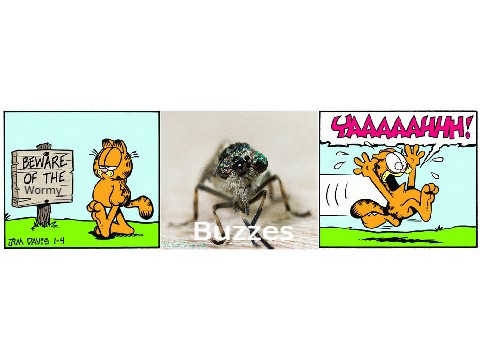 Garfield's Afraid Of Wormy!