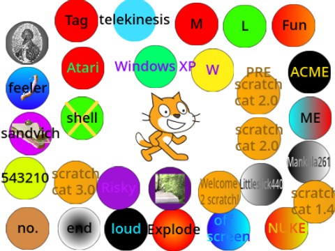 beat up scratch cat 5