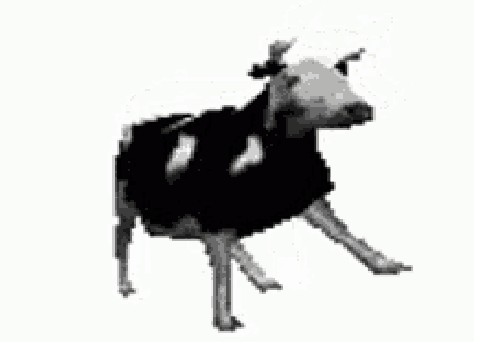 polish cow (technically Russian cow now)